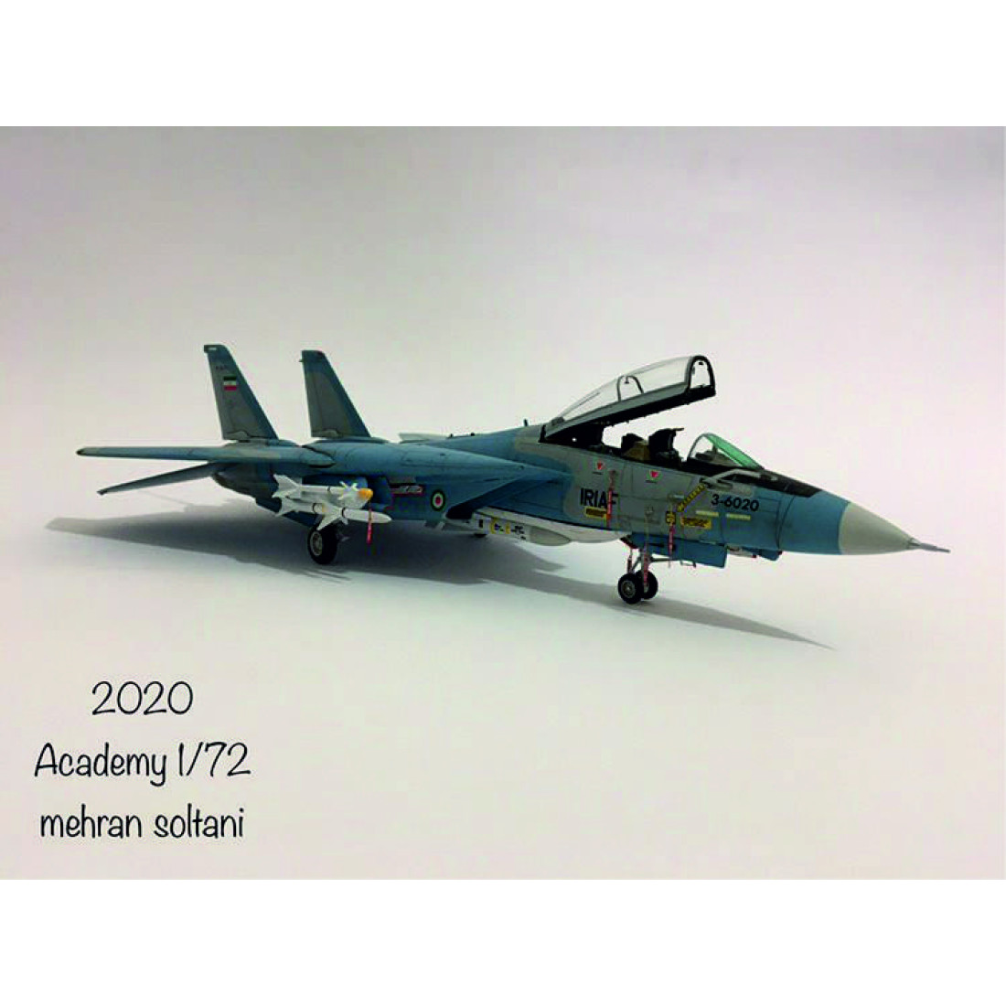 Iranian F-14 Tomcat Model | Made by Seyed Hossein Ghoreishi and Mehran Soltani | PrintScale.org ...