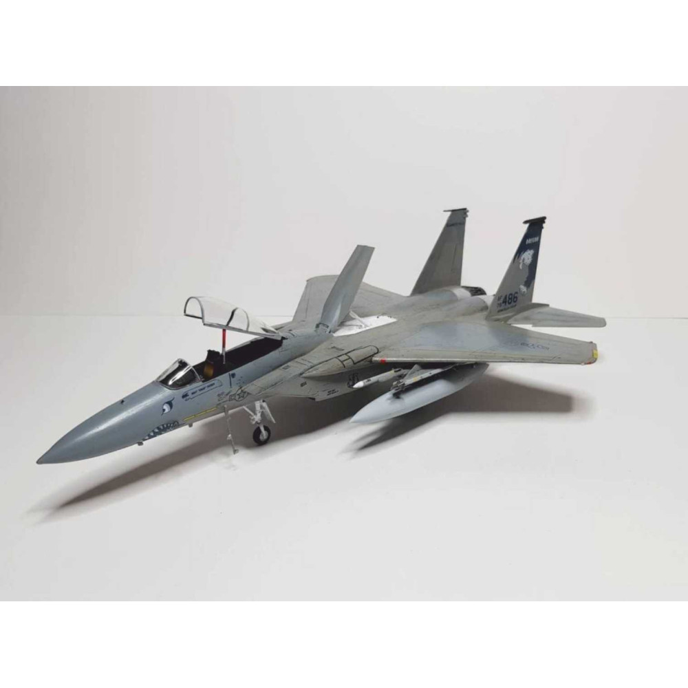 McDonnell Douglas F-15 Eagle 1/72 Scale - Oregon Variants 80-021, 78 ...