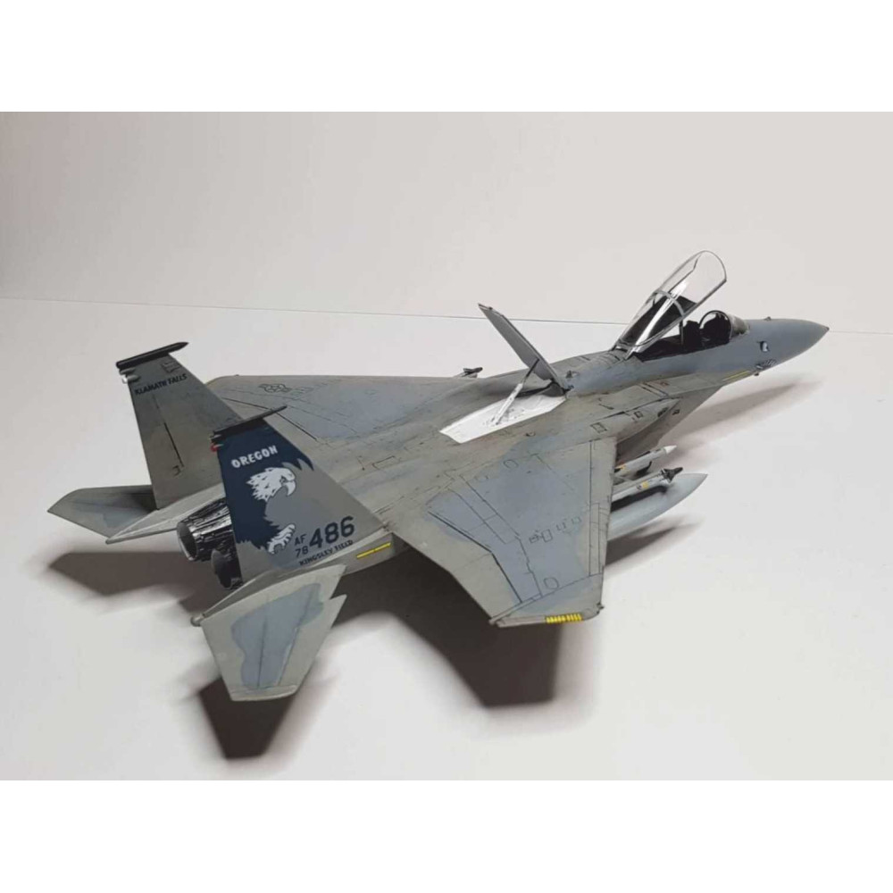 McDonnell Douglas F-15 Eagle 1/72 Scale - Oregon Variants 80-021, 78 ...