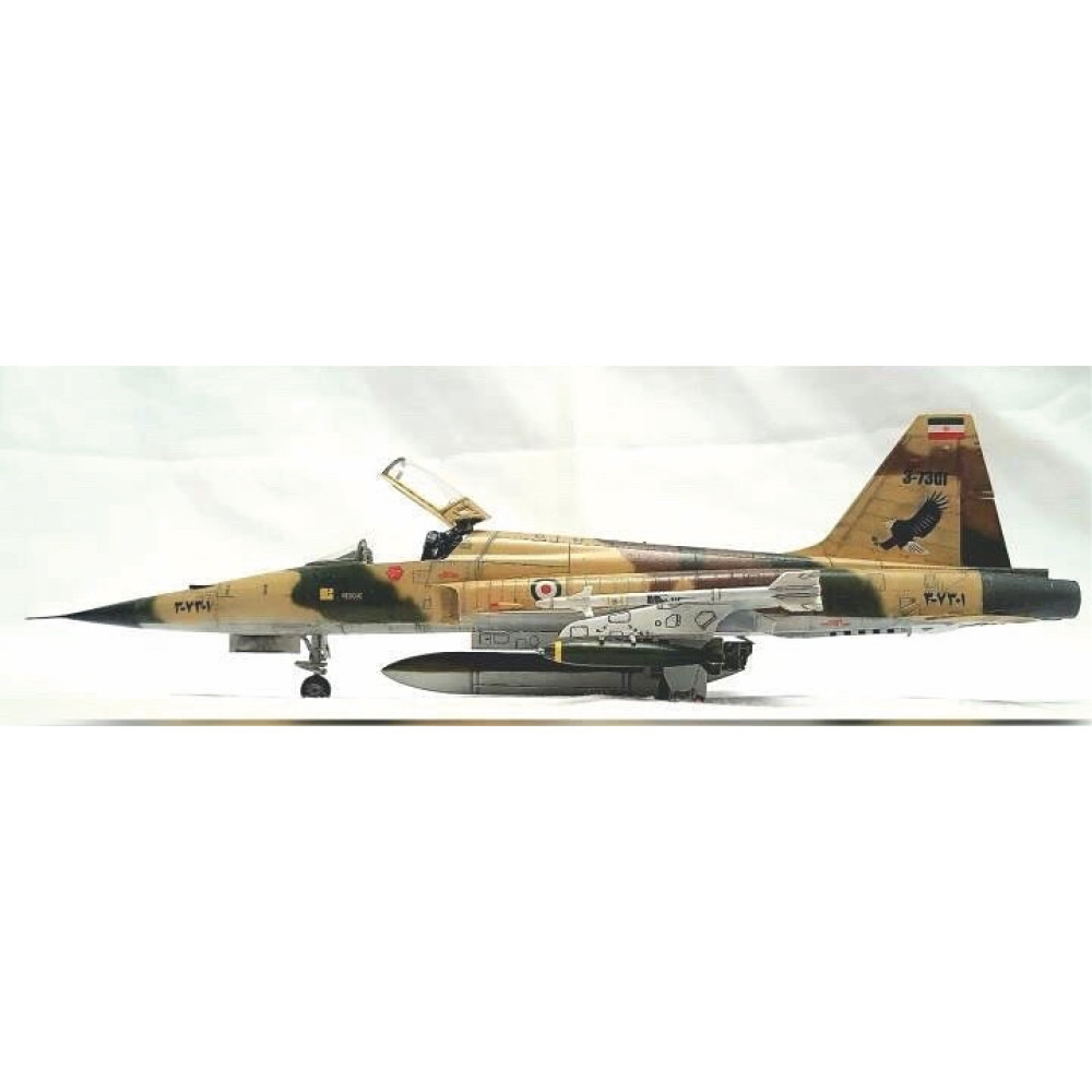 Northrop F-5 Tiger II / 48-113 / Made by modeller Barzin Barzegar ...