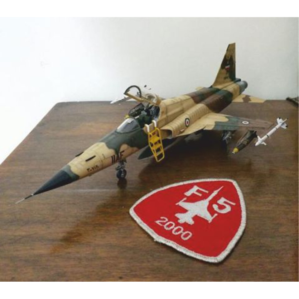 Northrop F-5 Tiger II / 48-113 / Made by modeller Barzin Barzegar ...