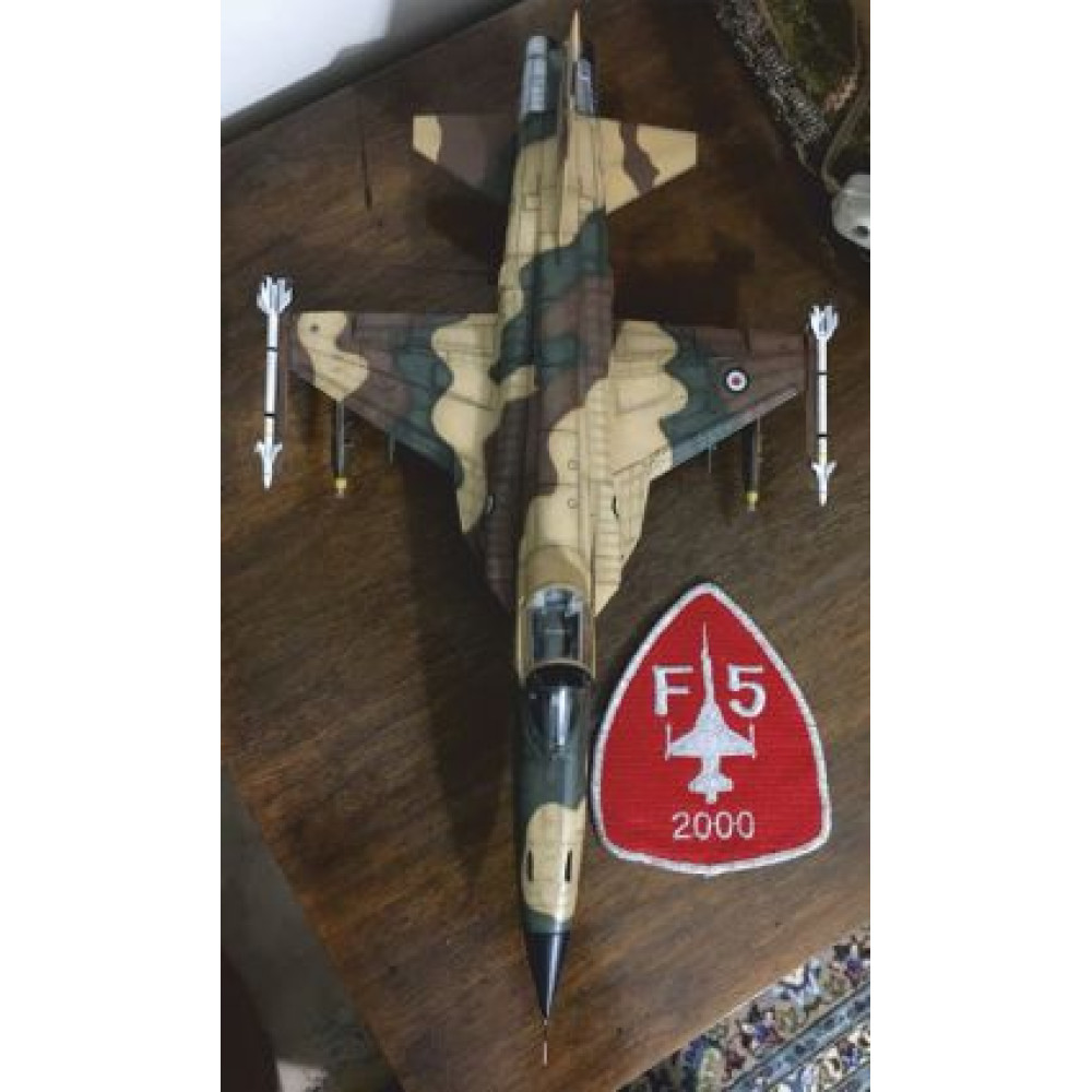 Northrop F-5 Tiger II / 48-113 / Made by modeller Barzin Barzegar ...