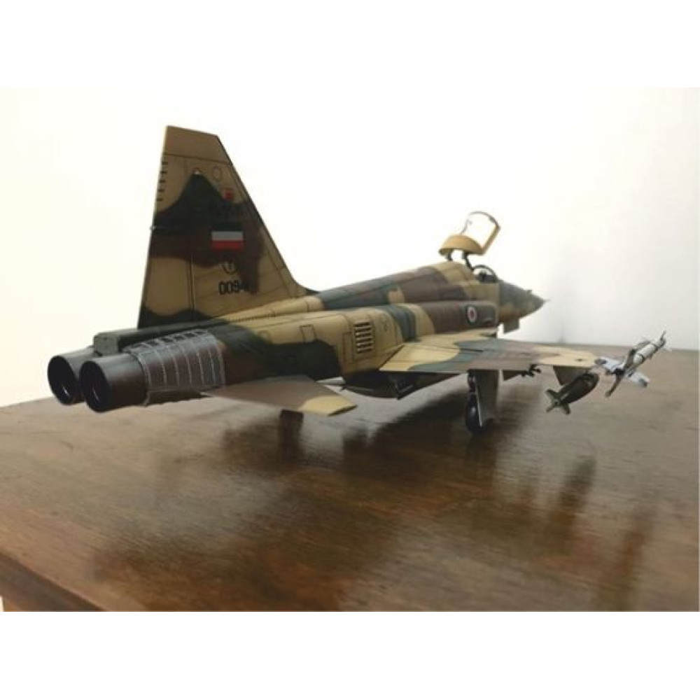 Northrop F-5 Tiger II / 48-113 / Made by modeller Barzin Barzegar ...