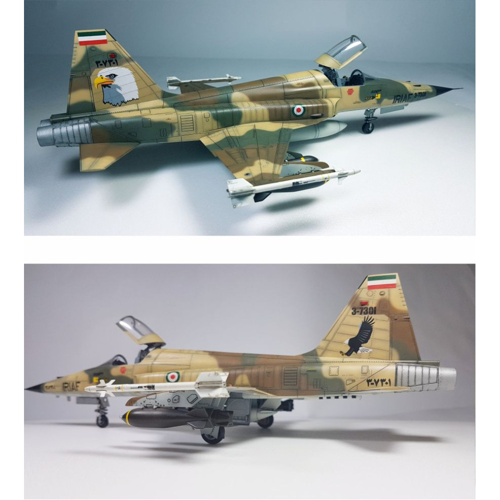 Northrop F-5 Tiger II / 48-113 / Made by modeller Barzin Barzegar ...