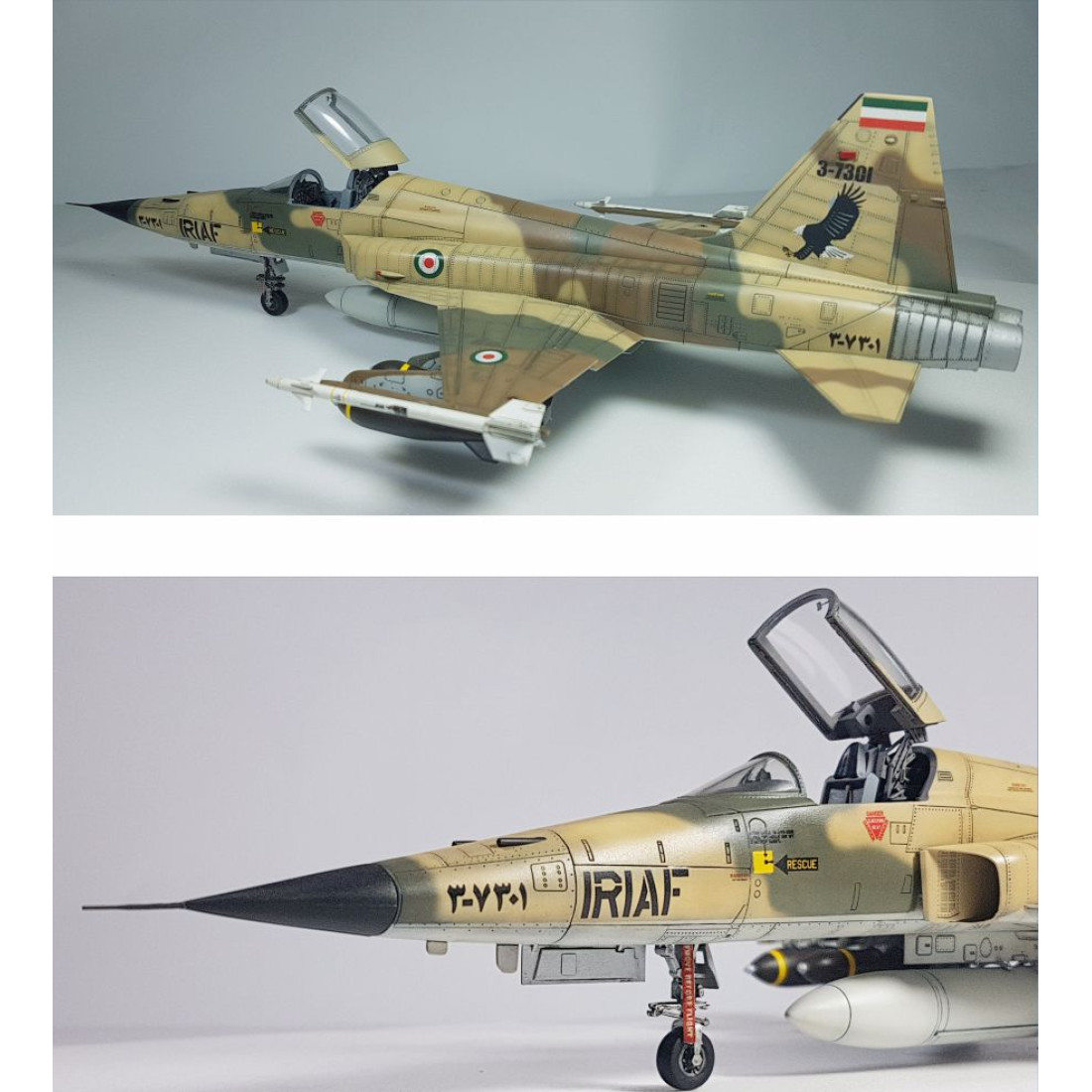Northrop F-5 Tiger II / 48-113 / Made by modeller Barzin Barzegar ...