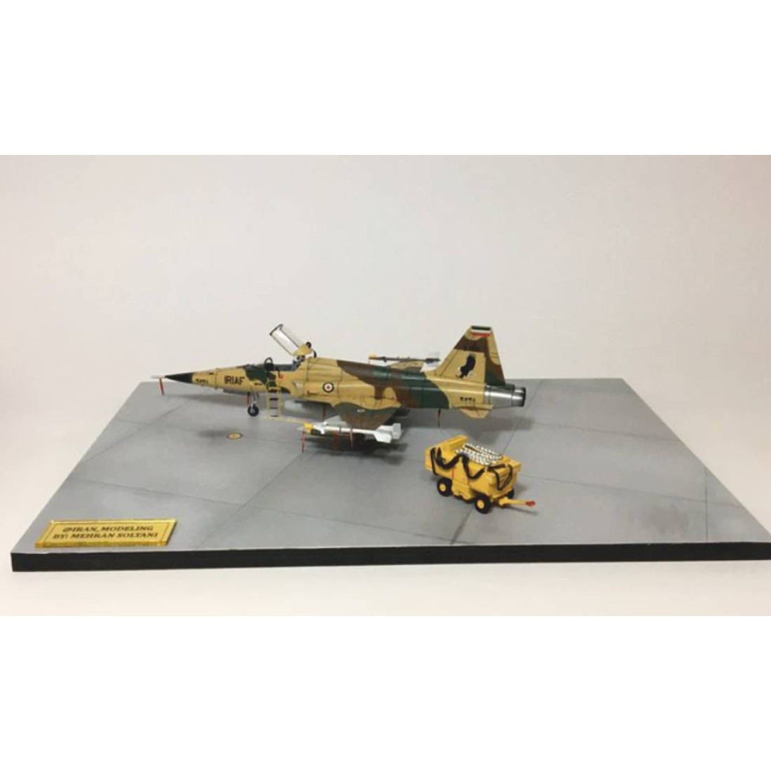 Northrop F-5 Tiger II / 72-229 / Model Made by Mehran Soltani ...