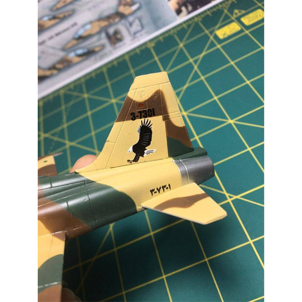 Northrop F-5 Tiger II / 72-229 / Model Made by Mehran Soltani ...