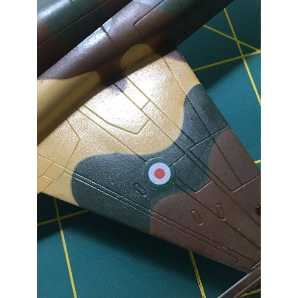 Northrop F-5 Tiger II / 72-229 / Model Made by Mehran Soltani ...