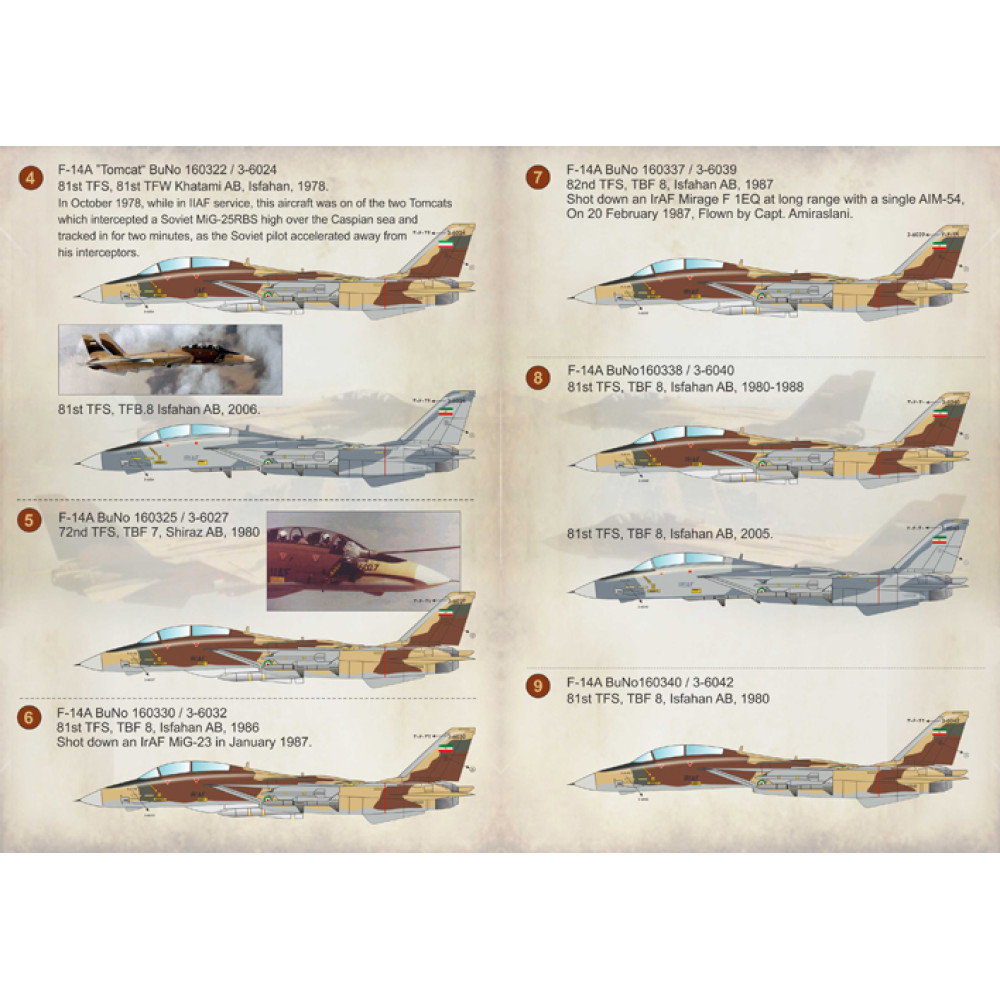 Iranian F-14 Tomcat Model | Made by Seyed Hossein Ghoreishi and Mehran Soltani | PrintScale.org ...